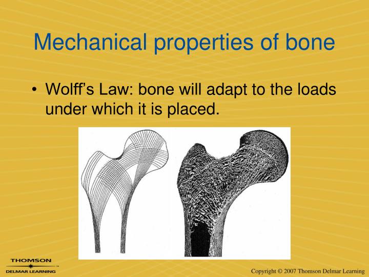 PPT - Chapter 14 PowerPoint Presentation - ID:1953337