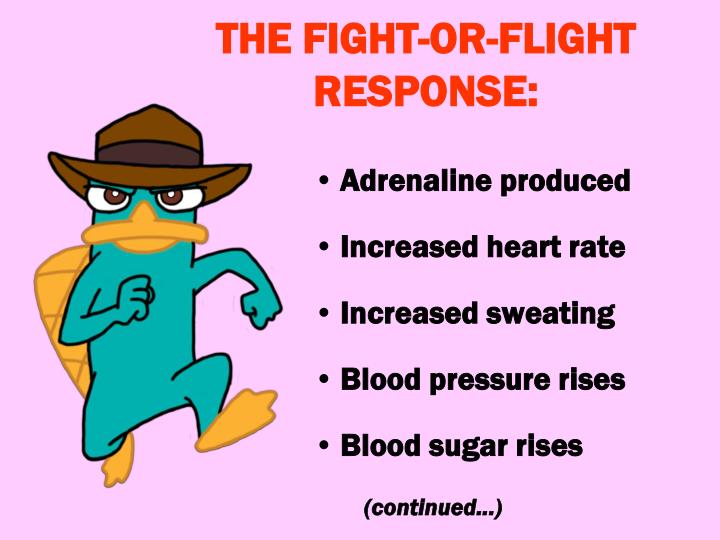 PPT - STRESS MANAGEMENT PowerPoint Presentation - ID:1953603