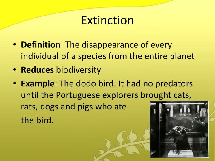 PPT - The Sixth Extinction? PowerPoint Presentation - ID:1953934