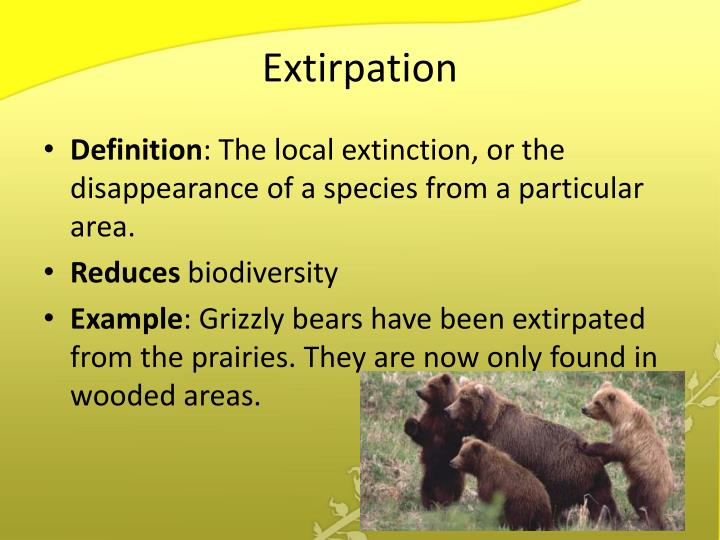 PPT - The Sixth Extinction? PowerPoint Presentation - ID:1953934