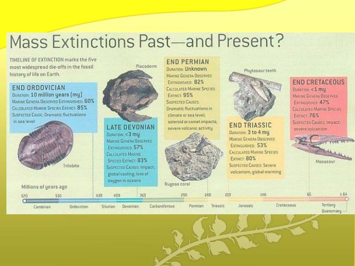 PPT - The Sixth Extinction? PowerPoint Presentation - ID:1953934
