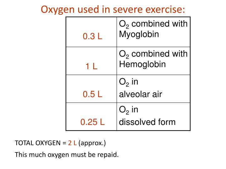 PPT - Oxygen Debt: PowerPoint Presentation - ID:1954075