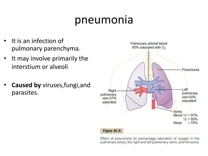 PPT - Oxygen Debt: PowerPoint Presentation - ID:1954075