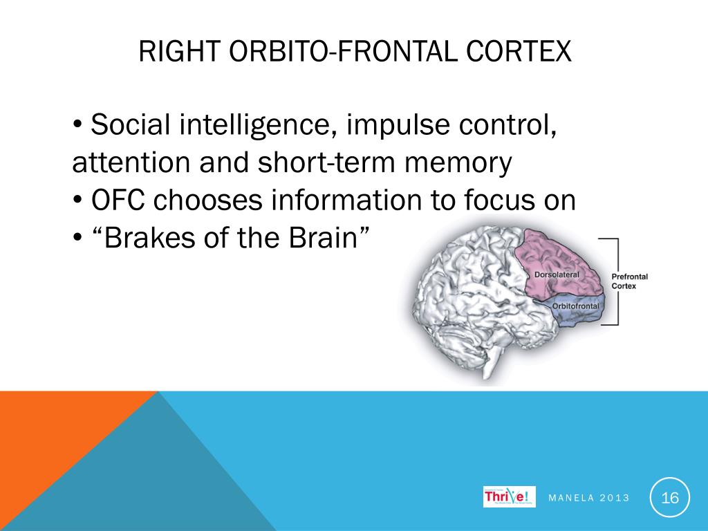 PPT - Miriam Manela OTR/L Pediatric Occupational Therapist PowerPoint ...