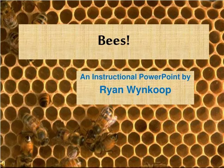 PPT - Bees! PowerPoint Presentation, free download - ID:1954739
