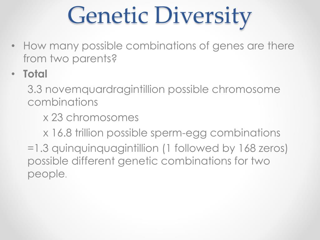 PPT - Meiosis and Chromosome Assortment PowerPoint Presentation, free ...