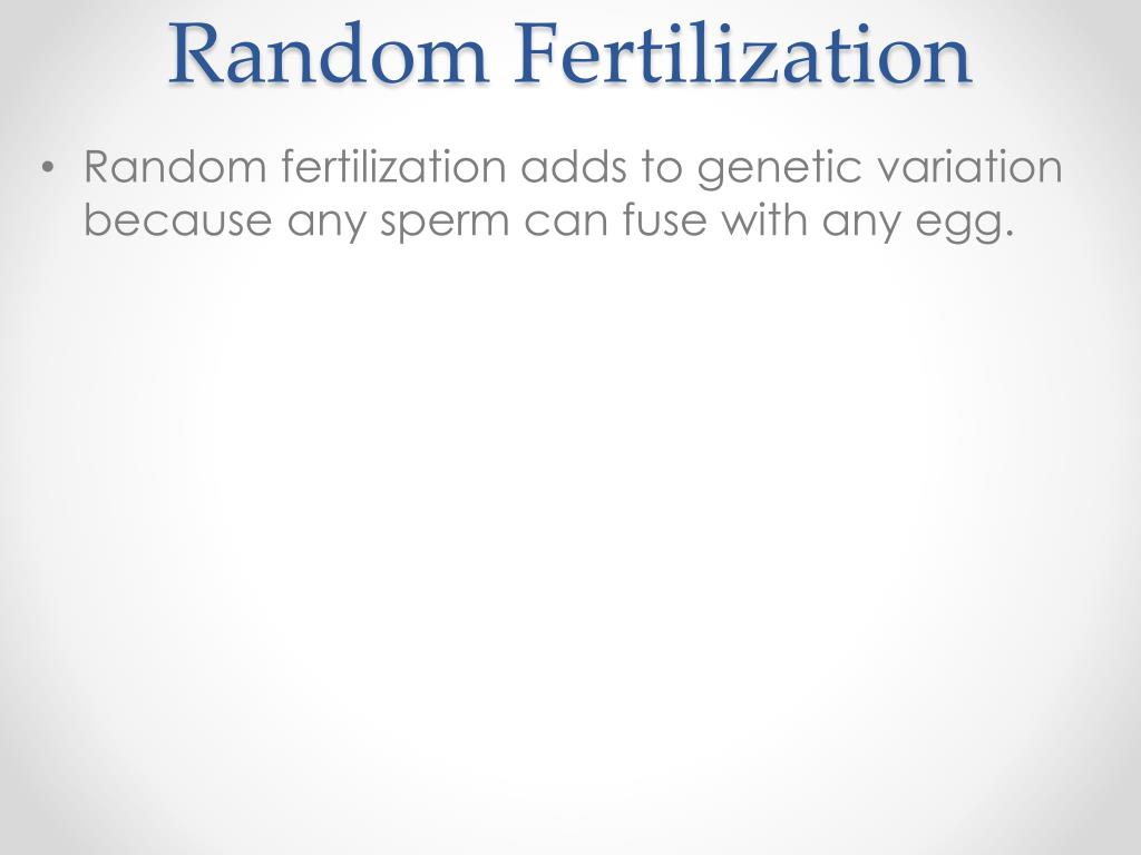 Random Fertilization