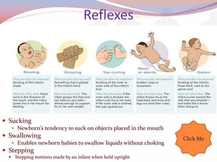 PPT - Human Growth and Development: Physical Development PowerPoint ...