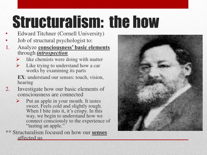 PPT - The Evolution of Psychology PowerPoint Presentation - ID:1955602