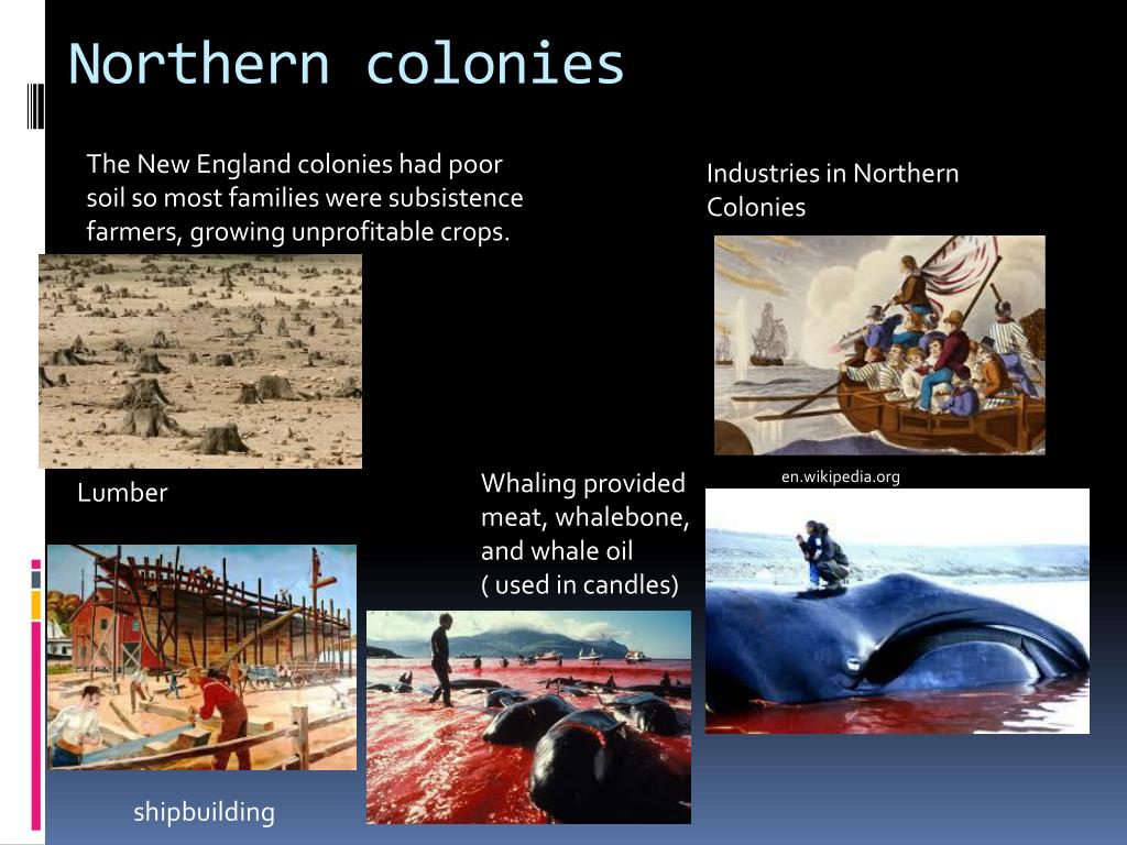 PPT - Economics of C olonial America PowerPoint Presentation, free ...
