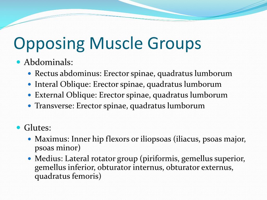 PPT - Muscle Up!: Abdominals & Glutes PowerPoint Presentation, free ...