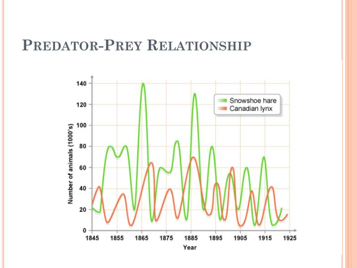 PPT - Ecosystem Diversity PowerPoint Presentation - ID:1957128