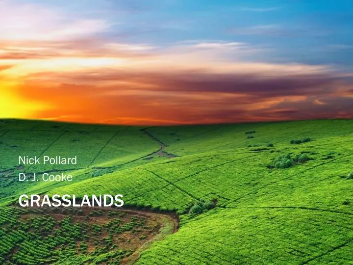 PPT - Grasslands PowerPoint Presentation, free download - ID:1957186