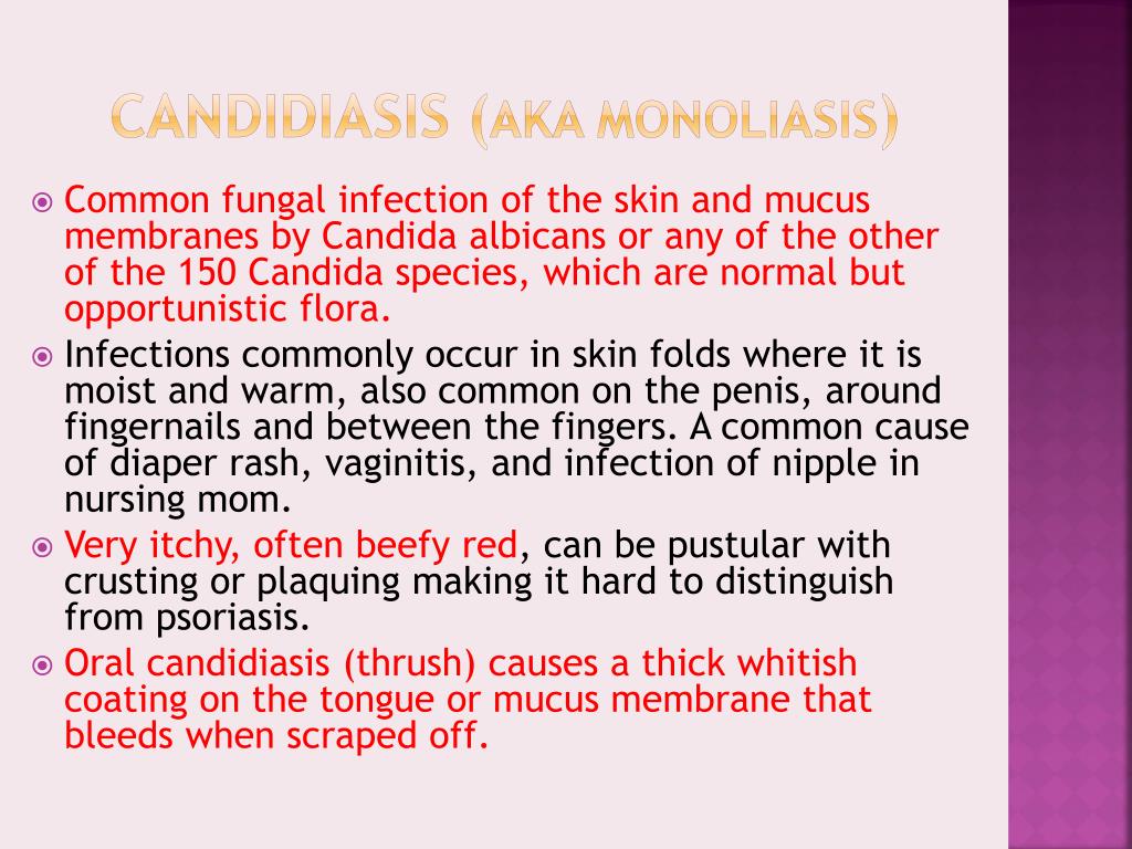 PPT - Dermatology Lecture 2 PowerPoint Presentation, free download - ID ...