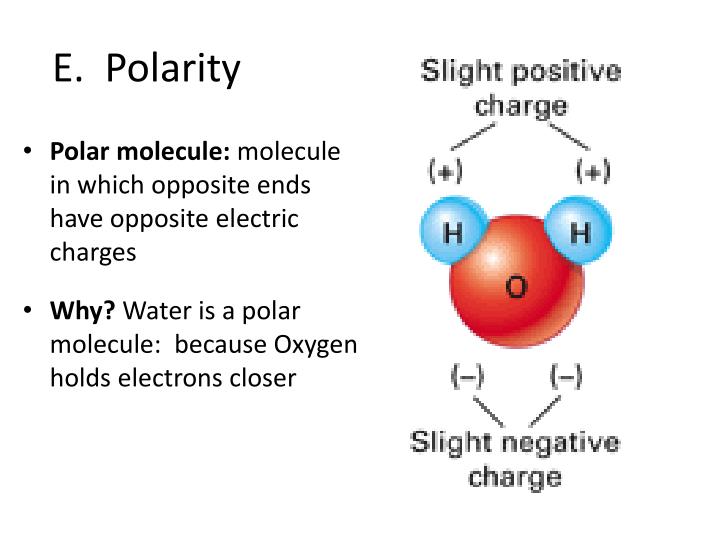 PPT - Why Study Chemistry in Biology? PowerPoint Presentation - ID:1957474
