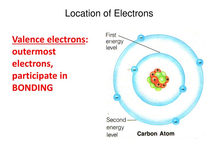 PPT - Why Study Chemistry in Biology? PowerPoint Presentation - ID:1957474