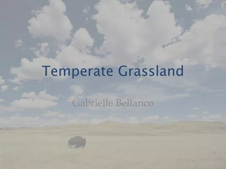 Ppt Temperate Grassland Powerpoint Presentation Free Download Id