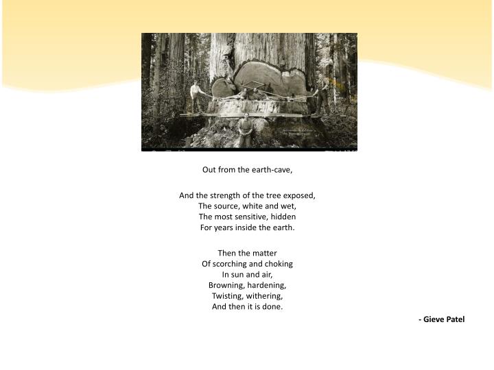 PPT - Poem 4 – On Killing A Tree PowerPoint Presentation - ID:1957645