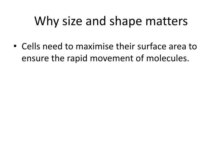 PPT - Why size and shape matters PowerPoint Presentation, free download ...