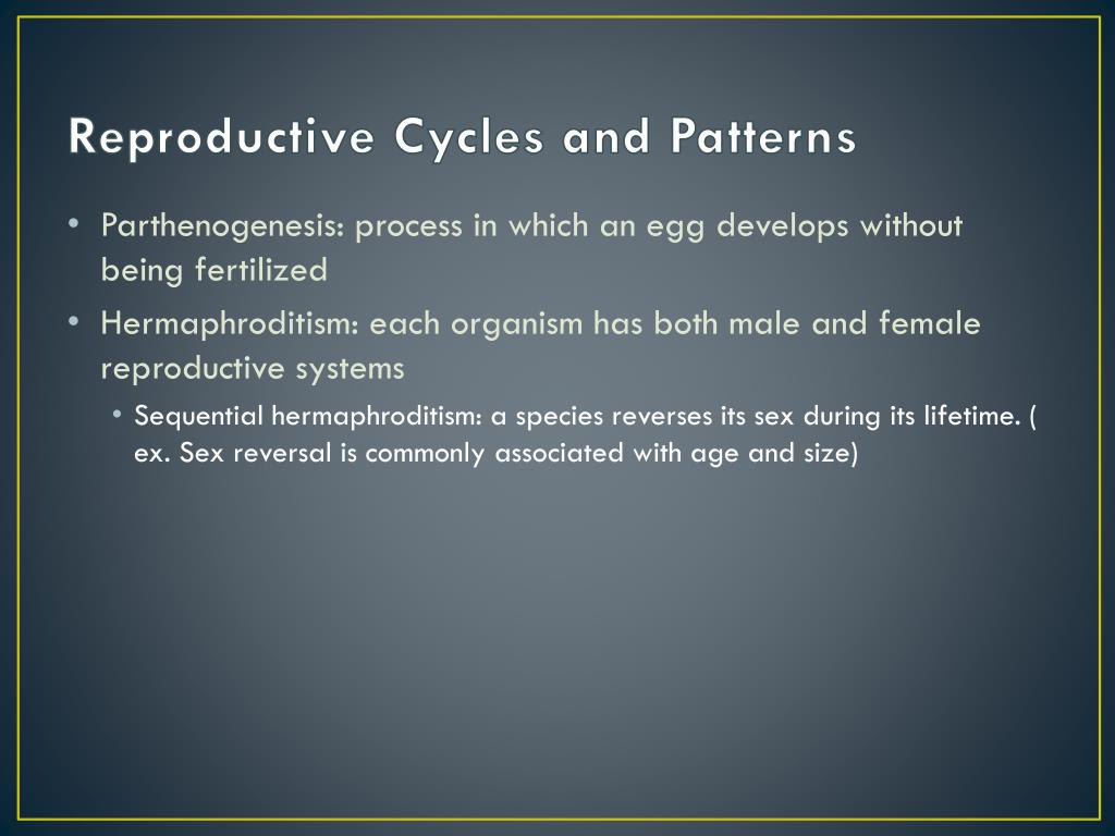 PPT - Lets talk about SEEEXXX!! ( Ch. 46 Animal Reproduction ...