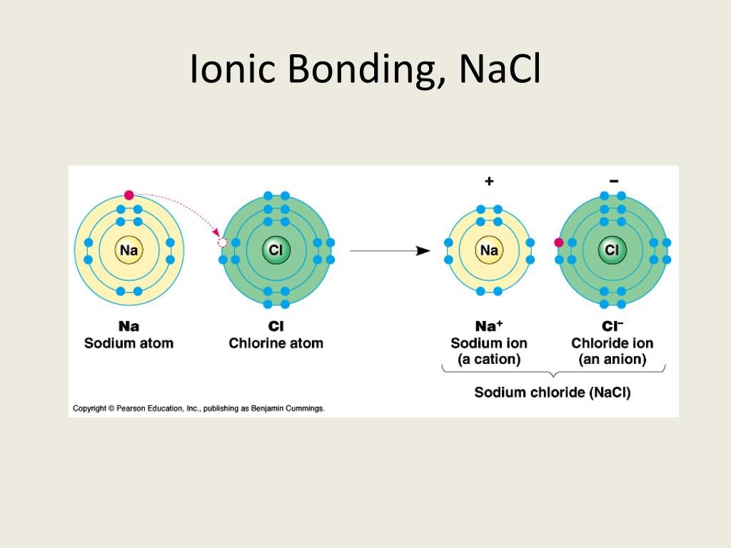 Sodium Chloride Bond Sodium Chloride Bond