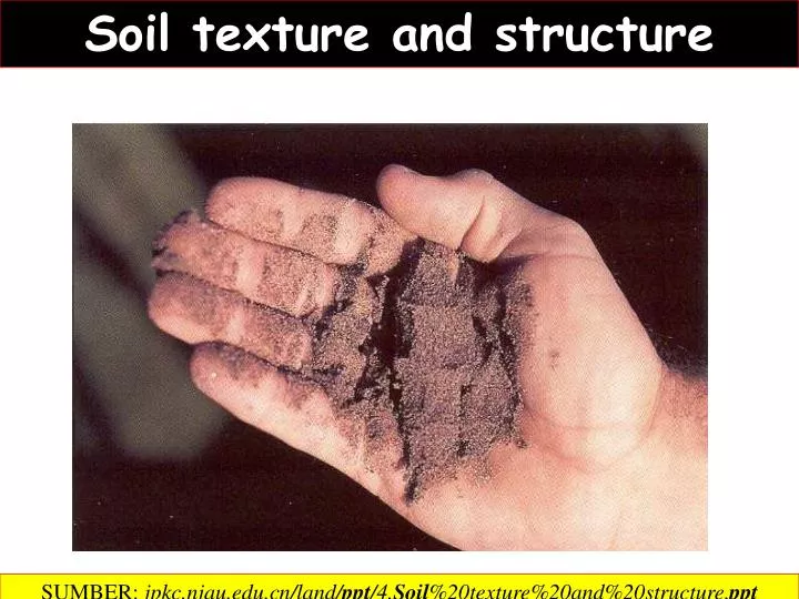 PPT - Soil texture and structure PowerPoint Presentation, free download ...