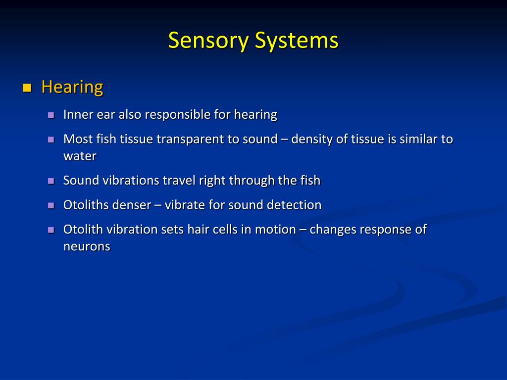 PPT - Sensory Systems, Behavior, Reproduction Biology of Fishes 11.1.12 ...