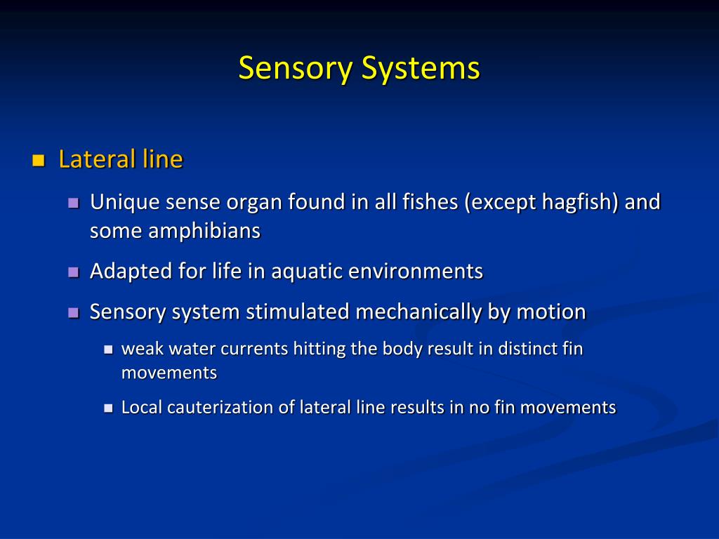 PPT - Sensory Systems, Behavior, Reproduction Biology of Fishes 11.1.12 ...