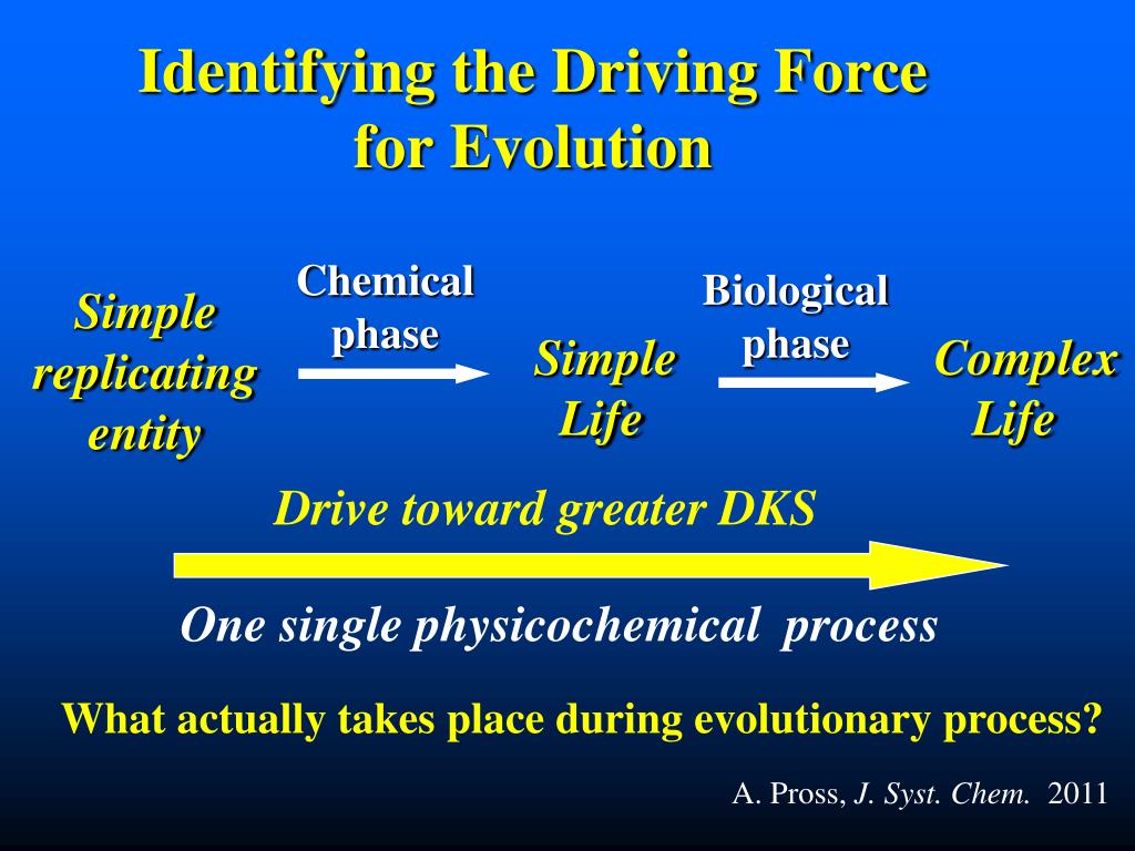 PPT - Addy Pross Department of Chemistry, Ben Gurion University of the ...