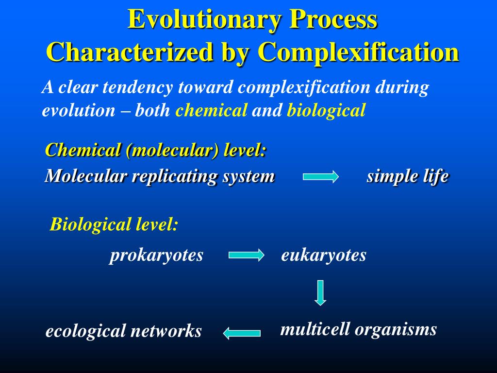 PPT - Addy Pross Department of Chemistry, Ben Gurion University of the ...