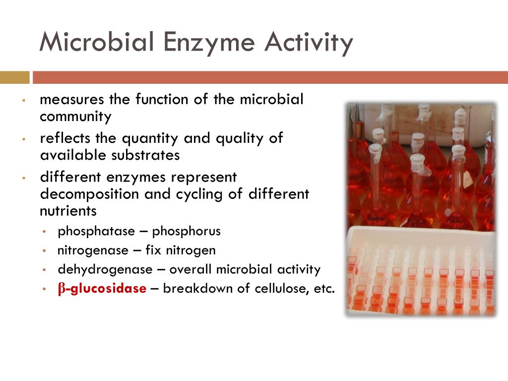 PPT - Assessing Soil Health in Missouri Agricultural Soils Kristen Veum ...