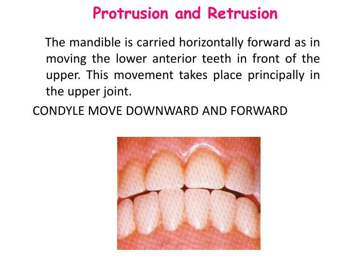 PPT - Mandibular Movements PowerPoint Presentation - ID:1960453