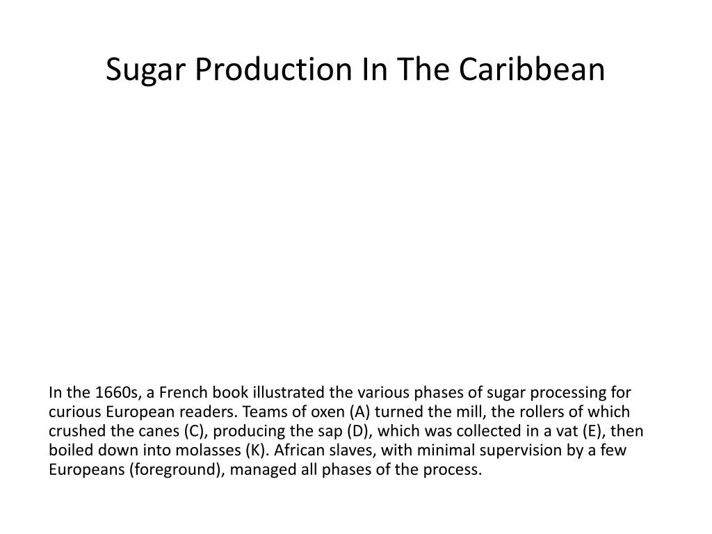 PPT - South Carolina & Slavery (1670s-1740) PowerPoint Presentation ...