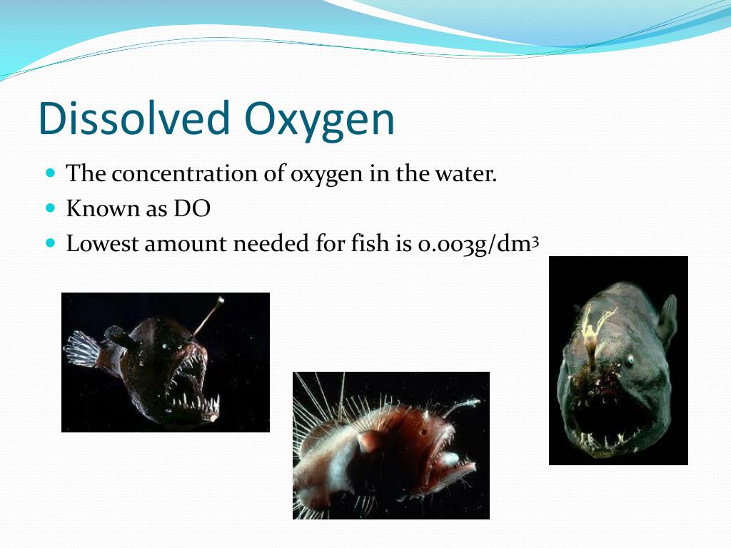 PPT - Dissolved Oxygen in Water PowerPoint Presentation, free download ... PPT - Dissolved Oxygen in Water PowerPoint Presentation, free download ...