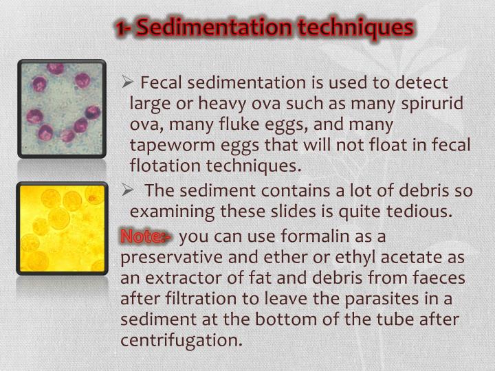 PPT - Concentration methods of fecal parasites PowerPoint Presentation ...