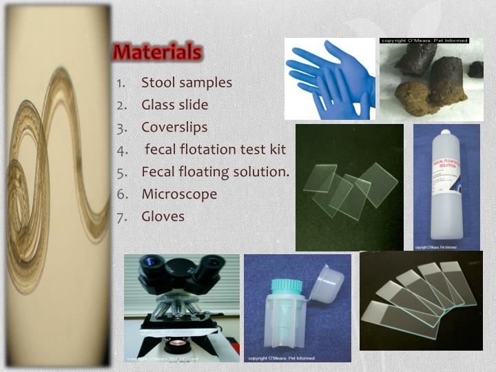 PPT - Concentration methods of fecal parasites PowerPoint Presentation ...