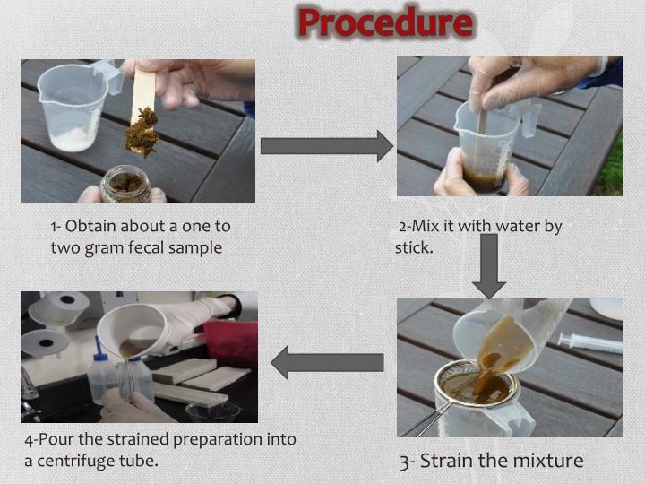 PPT - Concentration methods of fecal parasites PowerPoint Presentation ...