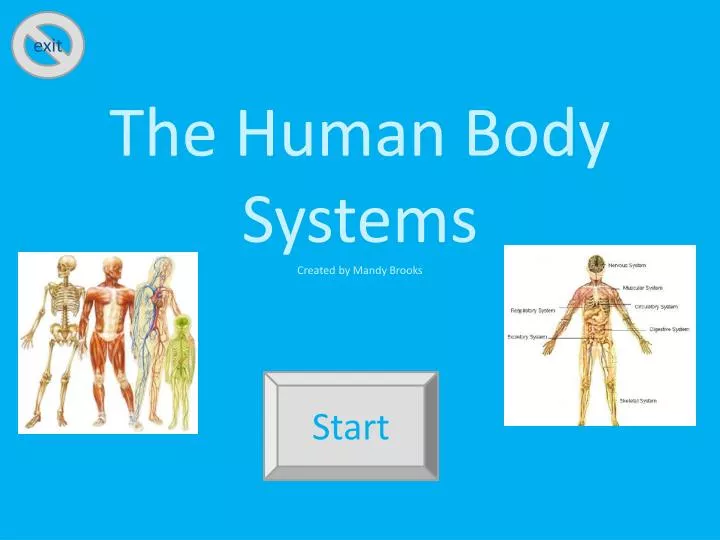 PPT - The Human Body Systems Created by Mandy Brooks PowerPoint ...