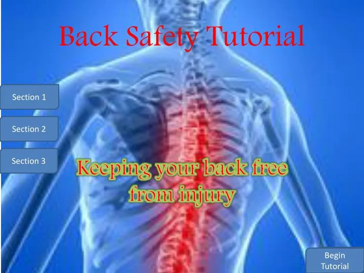 PPT - Back Safety Tutorial PowerPoint Presentation, free download - ID ...