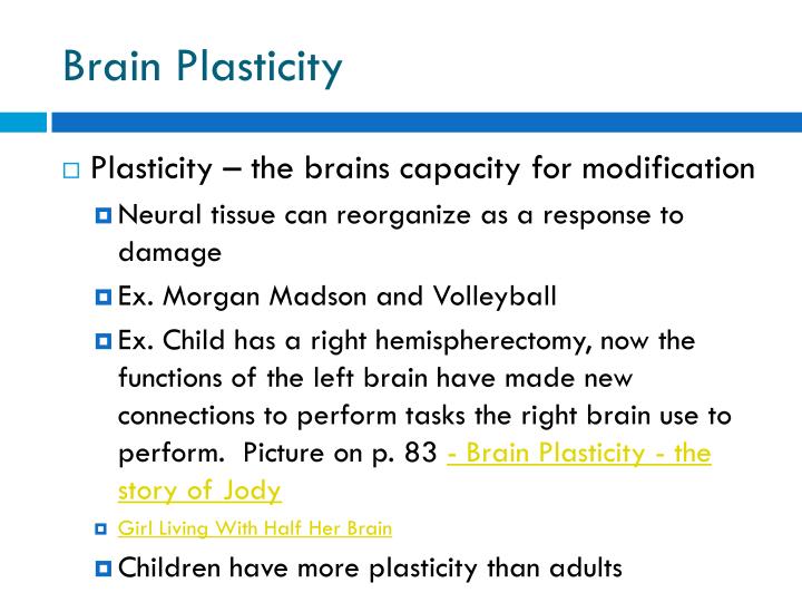 PPT - Hemispheres, Sensory and Motor Cortexes, Split Brain, Plasticity ...