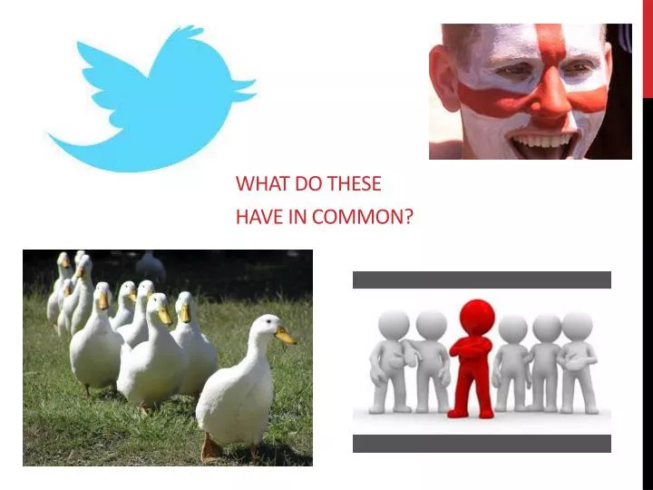 PPT - What do these have in common? PowerPoint Presentation, free ...