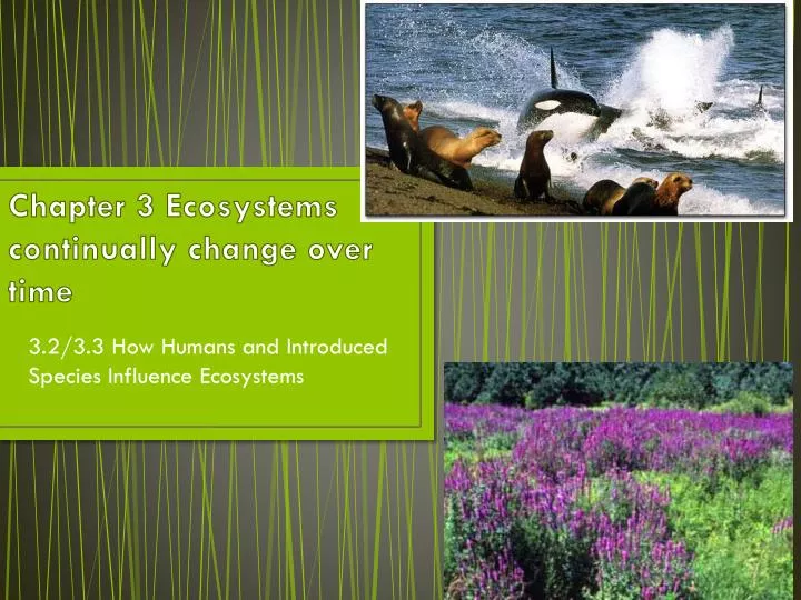 PPT - Chapter 3 Ecosystems continually change over time PowerPoint ...