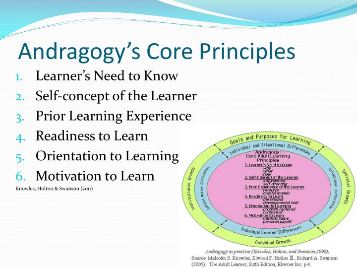 PPT - Andragogy: Welcoming Adult Learners and their Experiences ...
