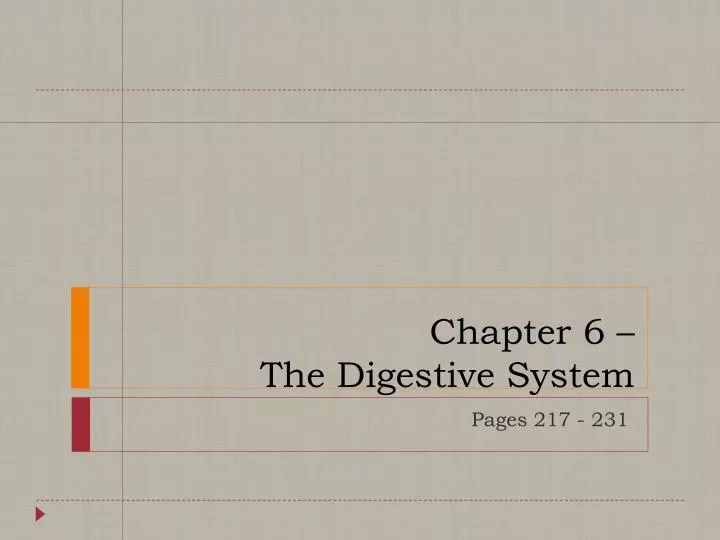 PPT - Chapter 6 – The Digestive System PowerPoint Presentation, free ...