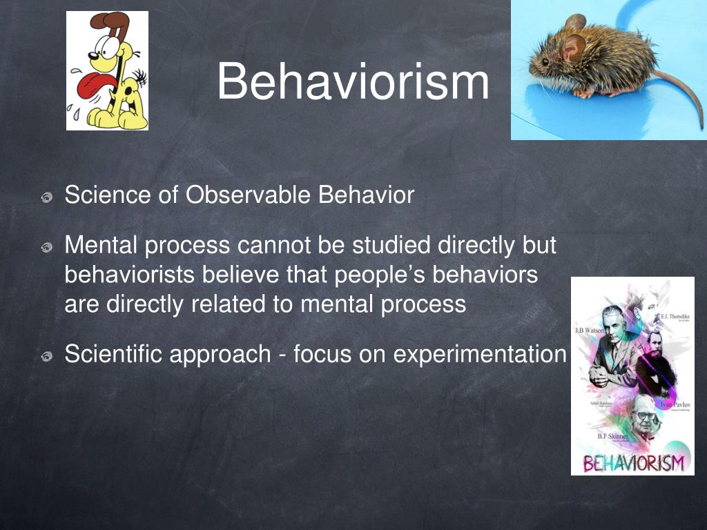 Ppt Behaviorism Powerpoint Presentation Free Download Id 1962662