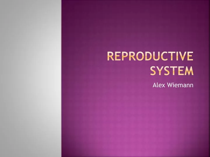 PPT - Reproductive System PowerPoint Presentation, free download - ID ...