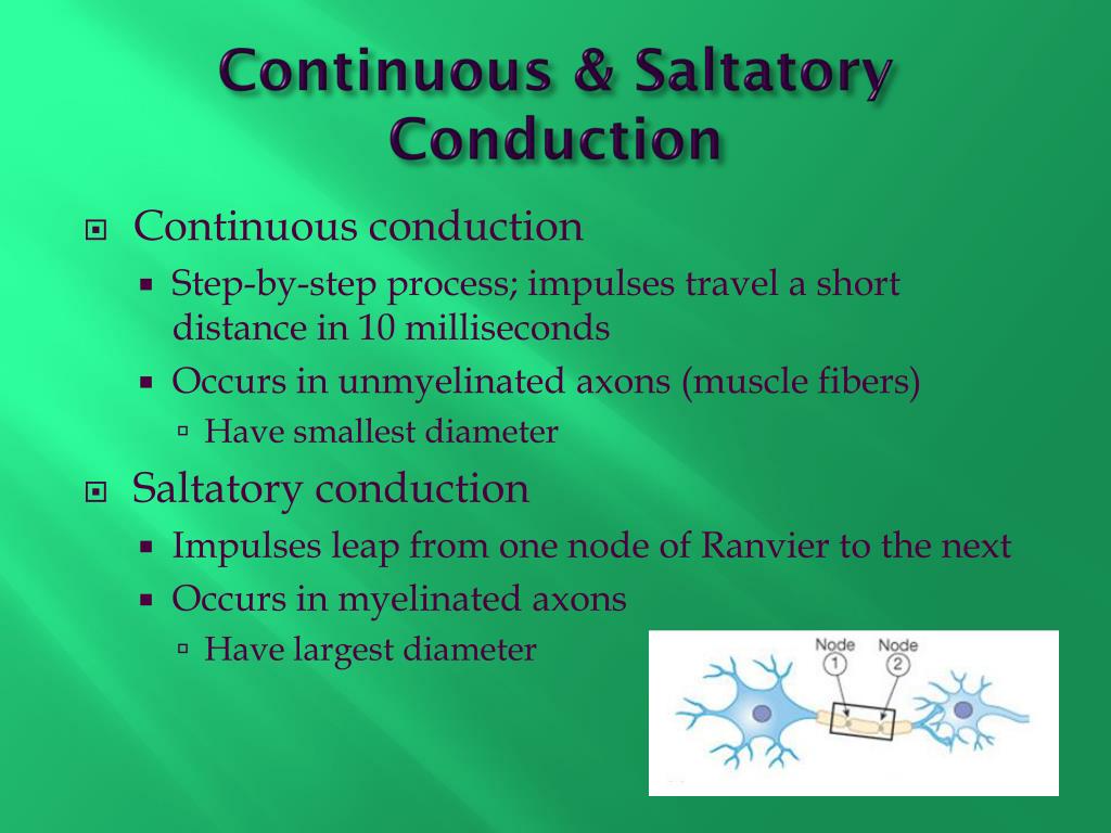 PPT - Pages: Chp 9; 229-245 Chp 11; 277-288 . Chp 12; 289-319 ...