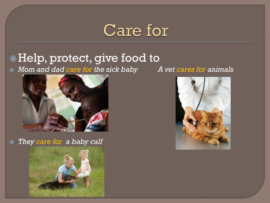 PPT - A Prairie Dog Home Unit 2.3 PowerPoint Presentation, free ...