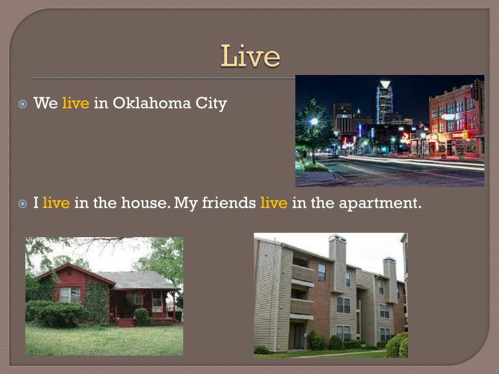 PPT - A Prairie Dog Home Unit 2.3 PowerPoint Presentation, free ...
