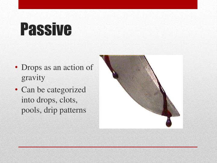 PPT - Blood Spatter Analysis PowerPoint Presentation - ID:1963294